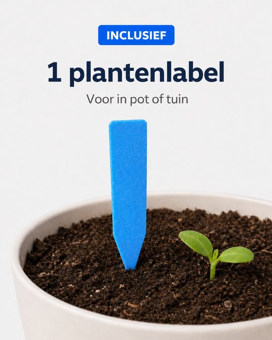 Klokwinde Zaden Cobaea Scandens Alba Eenjarig Wit | bol