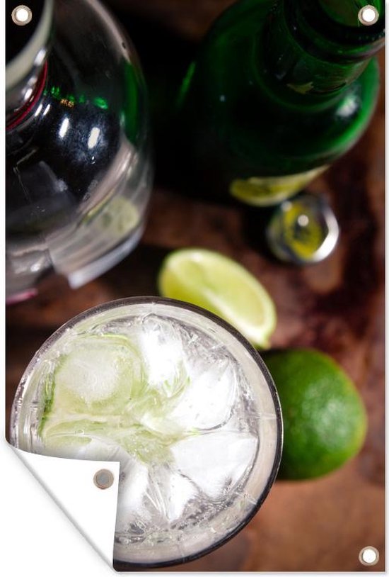 Tuinposters buiten Gin tonic gemixt met ijs en limoen - 60x90 cm ...