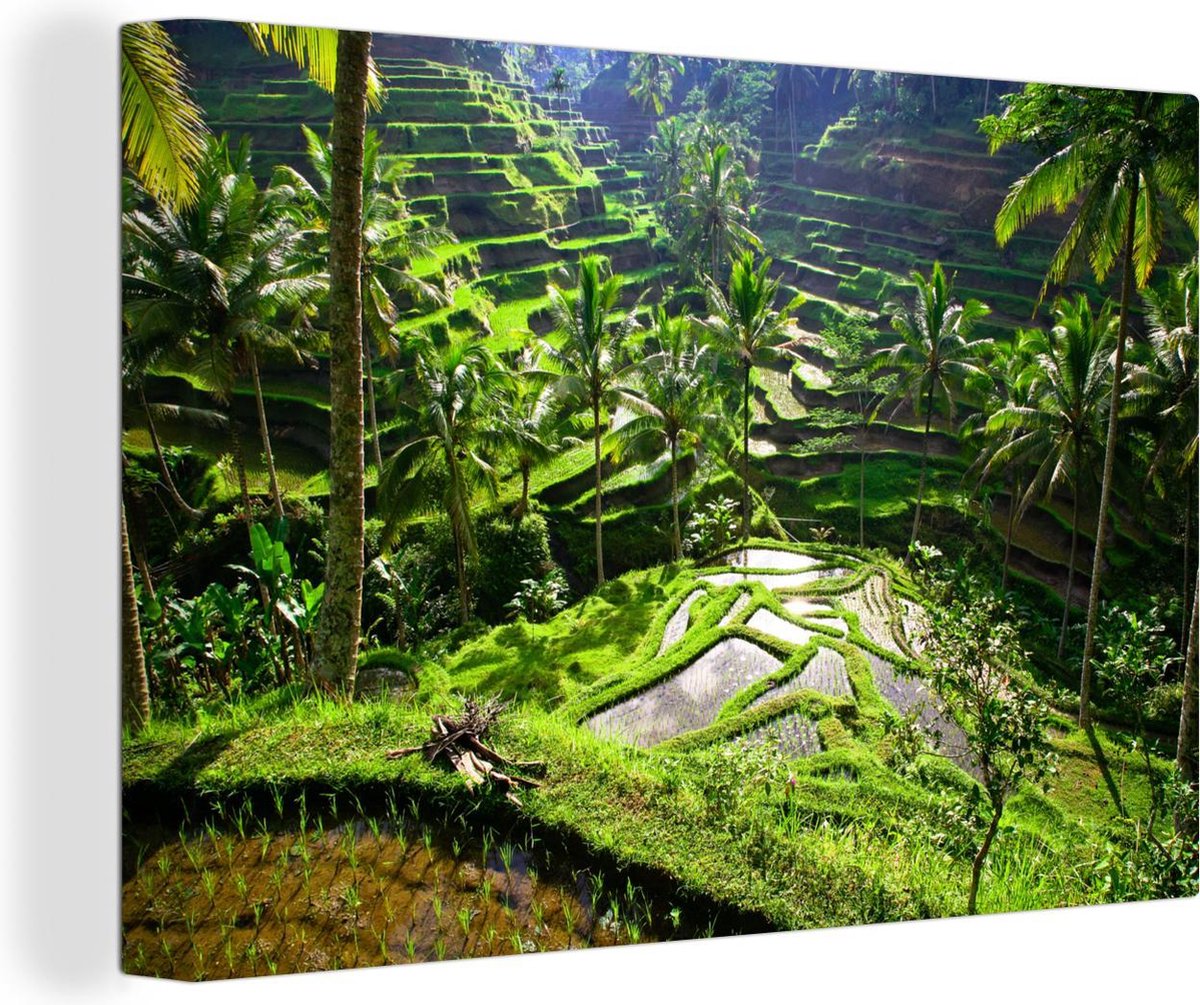 Canvas Schilderij Spectaculaire rijstvelden ten noorden van Ubud ...