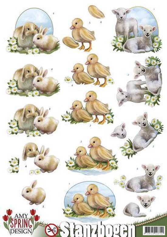 Pushout - Amy Design - Spring | bol.com