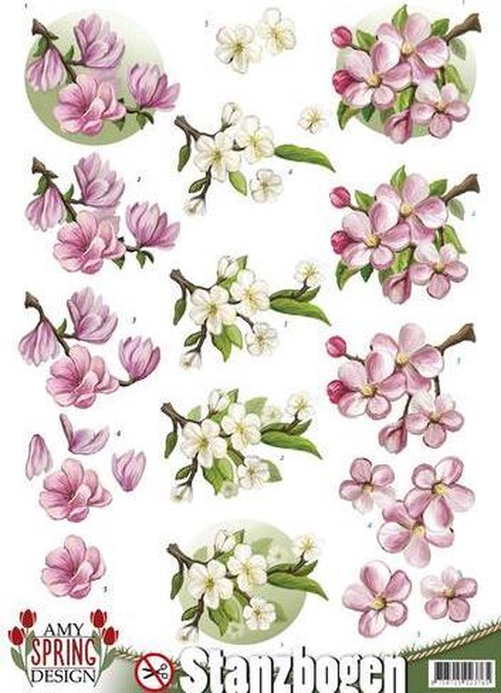 Nr. 4 Spring 3D-Push-Out Amy Design | bol