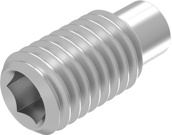 Stelbouten met Inbus en Pin M6 x 20 mm RVS V2A A2 DIN 915 20 stuks | bol