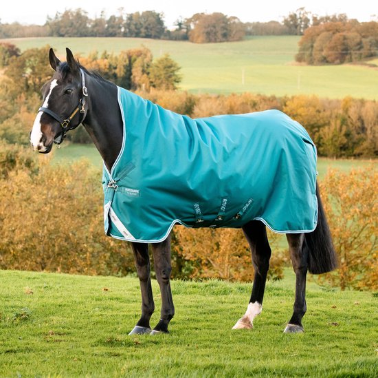 Amigo Bravo 12 Wug Medium 250g-125-175-Groen | bol