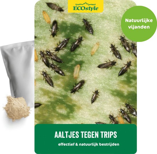 Mijn ervaringen met trips bestrijden in mijn kamerplanten