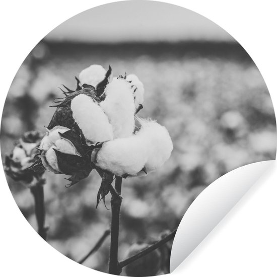WallCircle - Muurstickers - Behangcirkel - Katoen - Planten - Zwart - Wit - 100x100 cm... | bol