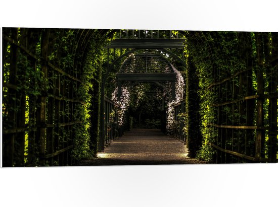 PVC Schuimplaat - Pad - Boog - Bloemen - Planten - Bomen - 100x50 cm ...