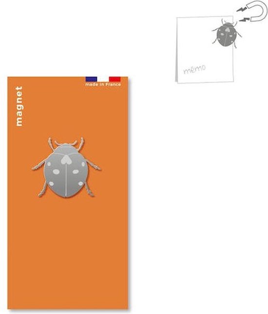 Magneet
