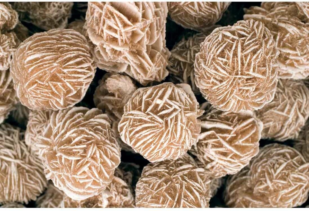 Woestijnroos 1 kilo | bol.com