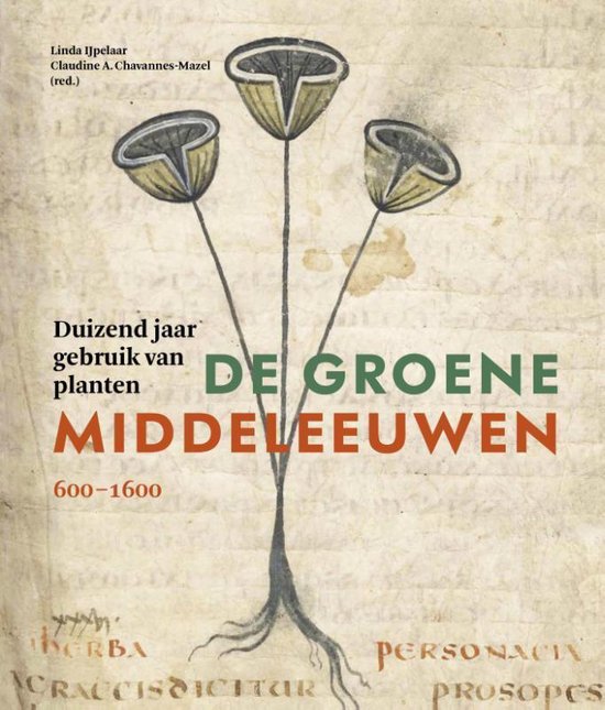 De groene middeleeuwen | 9789462261075 | Boeken | bol