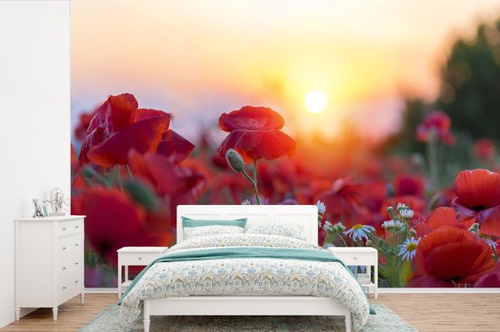 Behang - Fotobehang Klaprozen voor de ondergaande zon - Breedte 450 cm ...