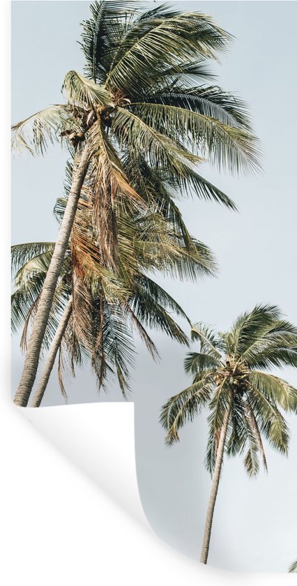 Muurstickers - Sticker Folie - Palmen - Zomer - Tropisch - 40x80 cm ...