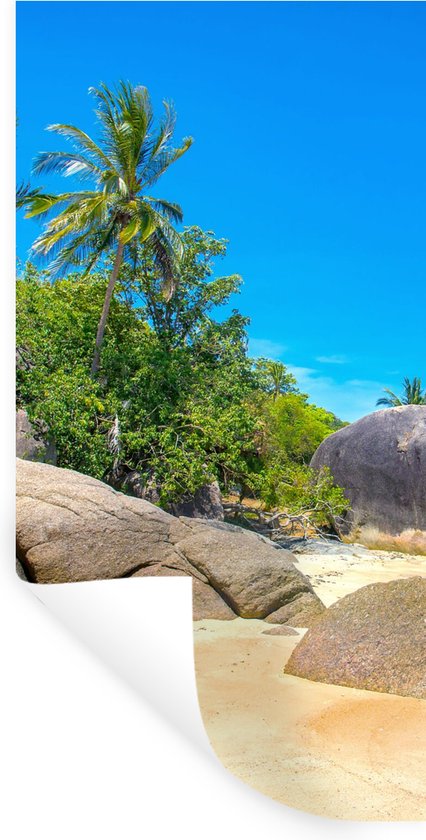 Muurstickers - Sticker Folie - Strand - Tropisch - Zee - Planten ...