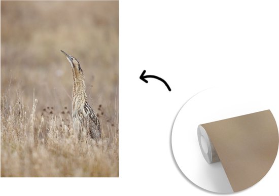 Behang - Fotobehang Een roerdomp steekt met zijn kop boven de ...