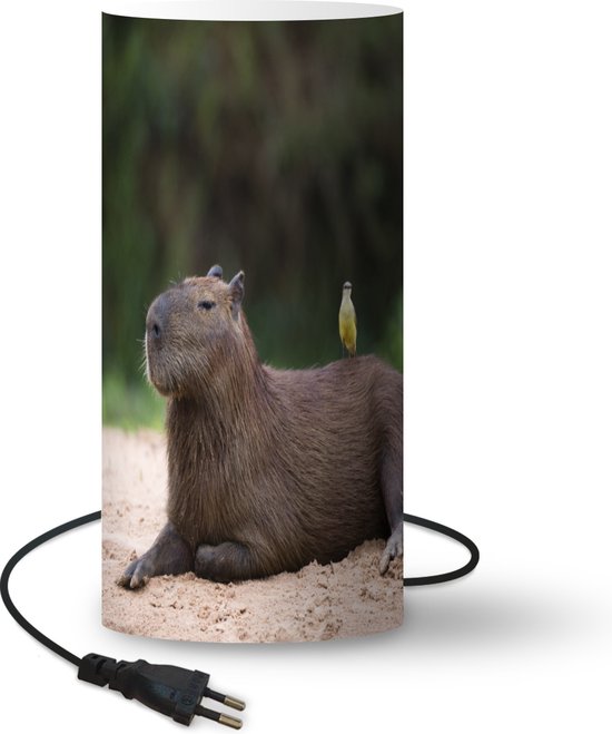 Lampe Capybara - Un Capybara avec un petit oiseau en lui-même - 54 cm ...