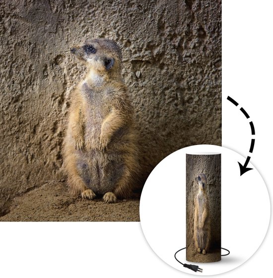 Lampe - Veilleuse - Lampe de table chambre - Mur - Pierre - Suricate ...