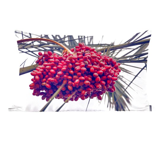 Sierkussens - Kussentjes Woonkamer - 60x40 cm - Rijpe dadels aan een ...