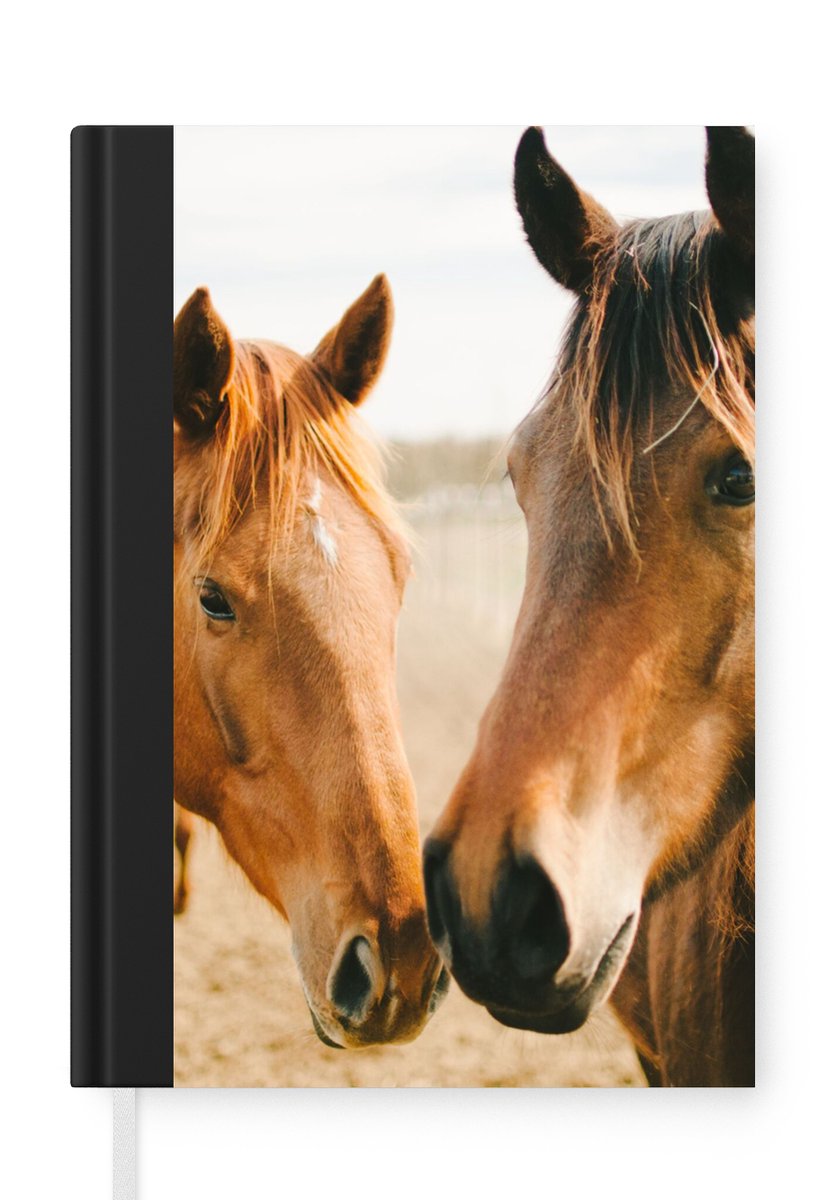 Cahier - Cahier d'écriture - Cheval - Plage - Animaux - Cahier - Format ...