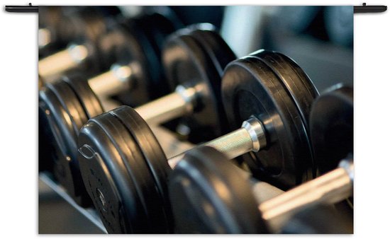 Mezo Wandkleed Halters In De Sportschool Rechthoek Horizontaal XL (105 ...