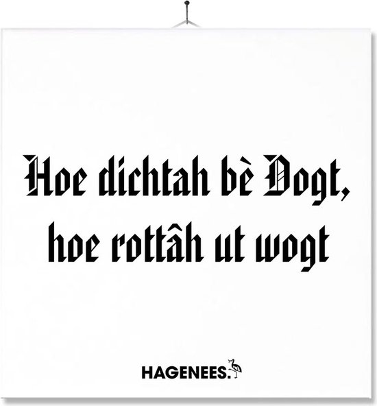 Tegel Met Opdruk | Haagse tekst | bol.com