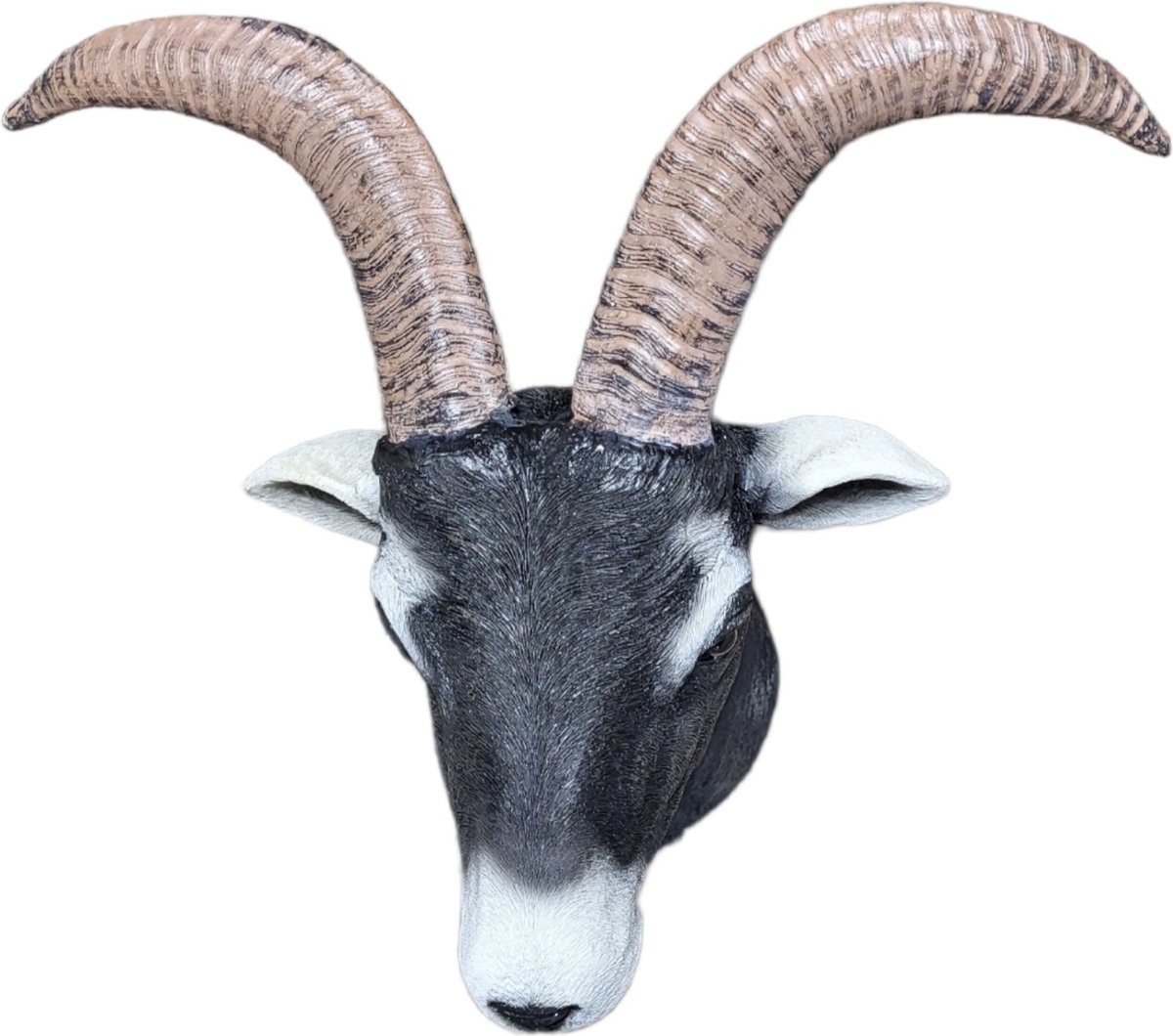Geitenkop Bok met Horens Sik Wanddecoratie 25 cm hoog Binnen en Buiten ...