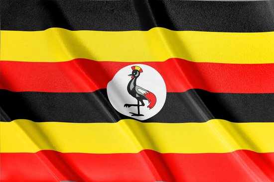 Vlag Oeganda | Alle Afrikaanse vlaggen | 52 soorten vlaggen | 200x100cm ...