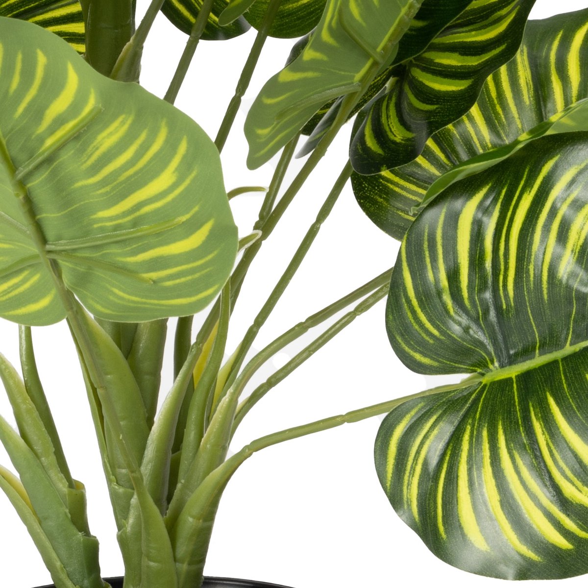 Everplant Kunstplant Maranta 45 cm - Kunstplanten - Kunstplanten Voor ...