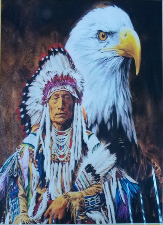 Diamond Painting Pakket - Indiaan en Arend - 50x40 cm - Complete Set ...