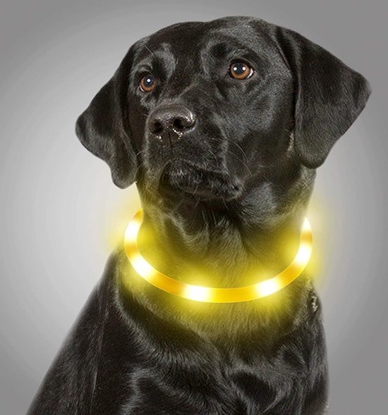 Doodadeals® | Lichtgevende Halsband Hond | Honden Lampje Halsband | LED ...