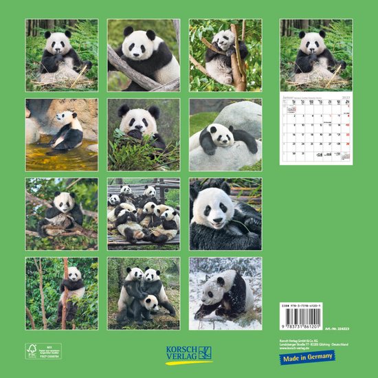 Panda's Kalender 2023 - 30x30cm | bol.com