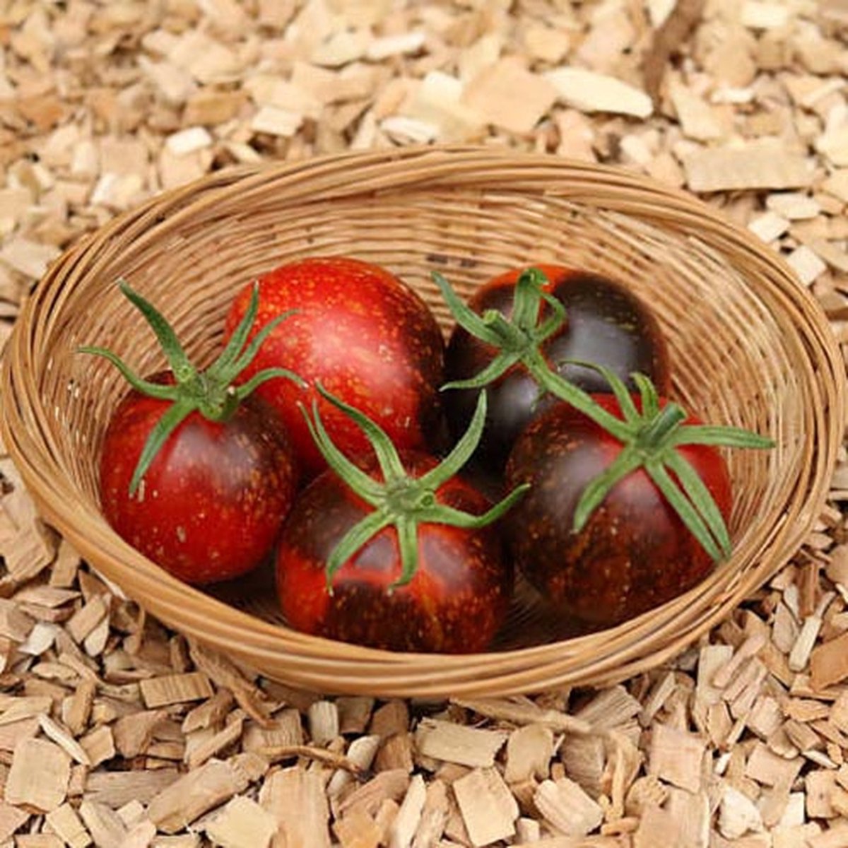 Tomaten zaden - Cherrytomaat Dark Galaxy | bol.com