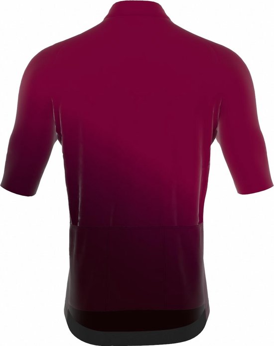 BIORACER Fietsshirt Heren - Fietskledij Icon Classic Smooth ...