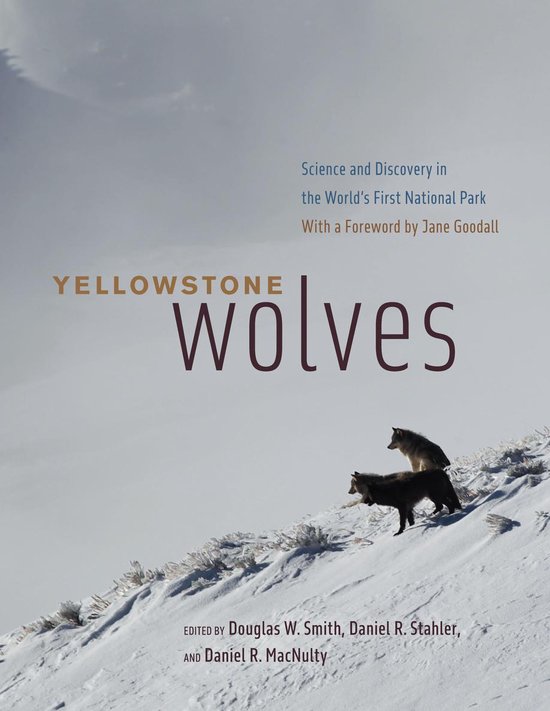 Yellowstone Wolves (ebook) | 9780226728483 | Boeken | bol