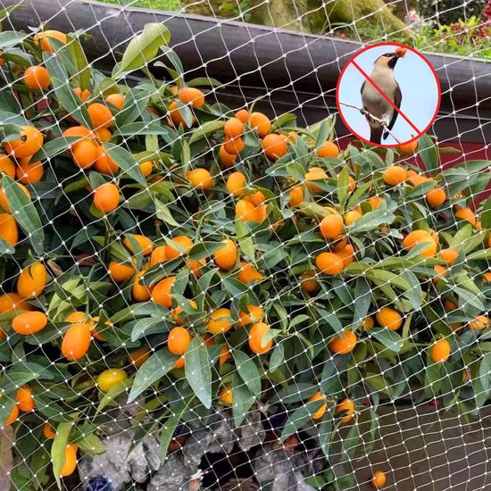 Cat Net voor Balkon - 3 x 10 m - Geen Boren - 2.5 cm Gatdiameter ...