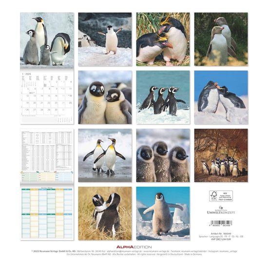 Pinguïn Kalender 2026 - Wandkalender met Ruimte voor Notities ...