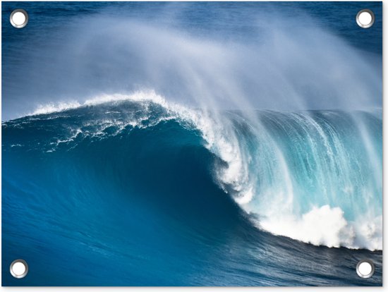 Tuin decoratie Zee - Golf - Hawaii - 40x30 cm - Tuindoek - Buitenposter | bol