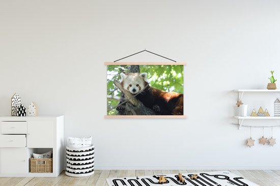 Poster textielposter Panda roux assis sur une branche d'arbre 120x80 cm ...