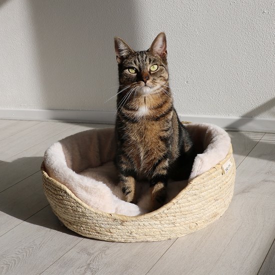 Kattenmand Ella - Wit | bol