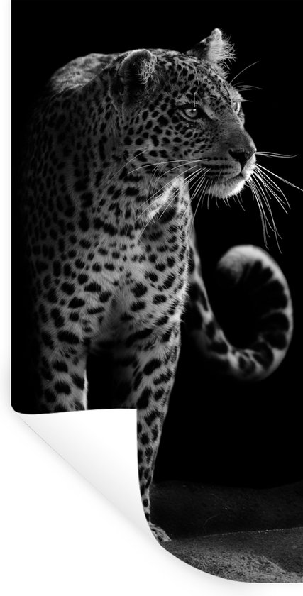 Muurstickers - Sticker Folie - Wilde dieren - Luipaard - Natuur - Zwart - Wit - 80x160... | bol