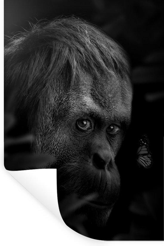 Muurstickers - Sticker Folie - Close-up van een aap en een vlinder in de jungle -... | bol