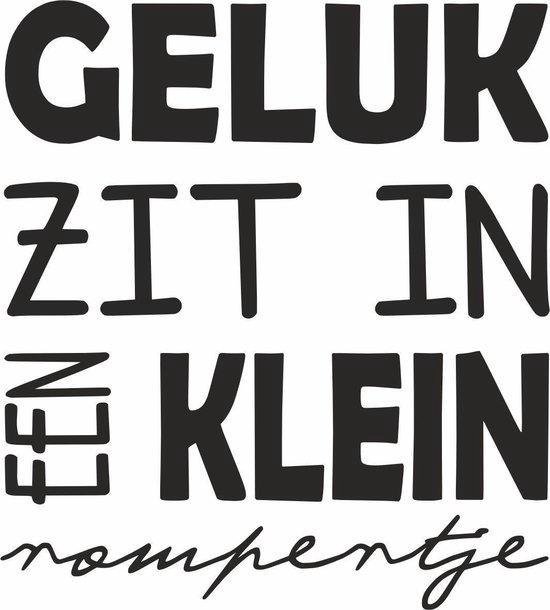 Baby Rompertje met tekst zwangerschap aankondiging - Geluk zit in een ...