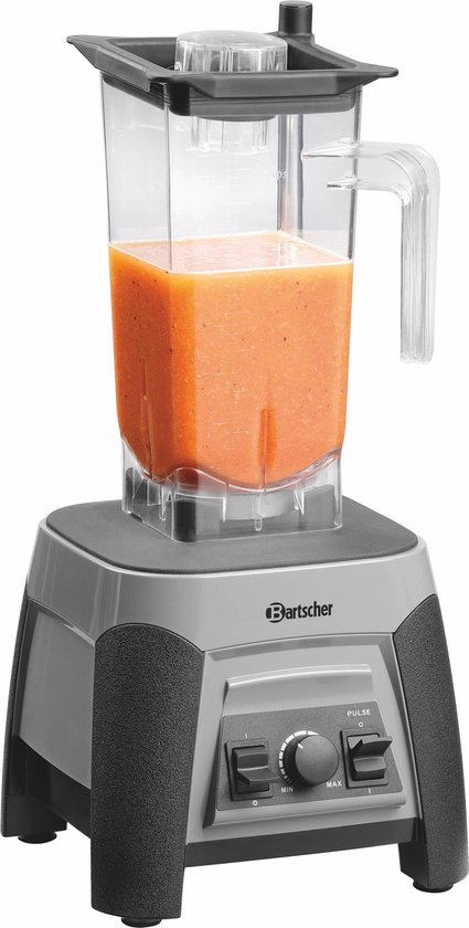Blender Pro 2,5L | bol.com