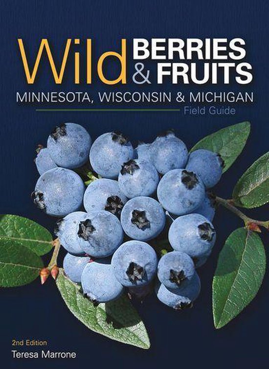 Wild Berries & Fruits Identification Guides - Wild Berries & Fruits ...