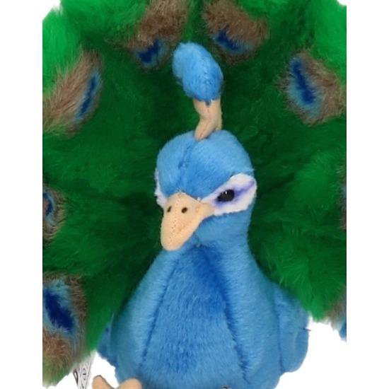 Pluche knuffel pauw 25 cm | bol.com