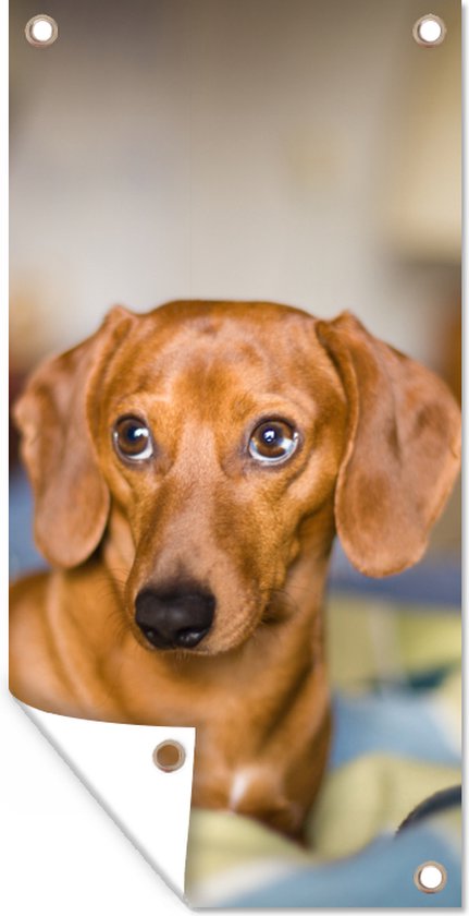 Décoration murale d'extérieur Teckel allongé sur un lit - 80x160 cm ...