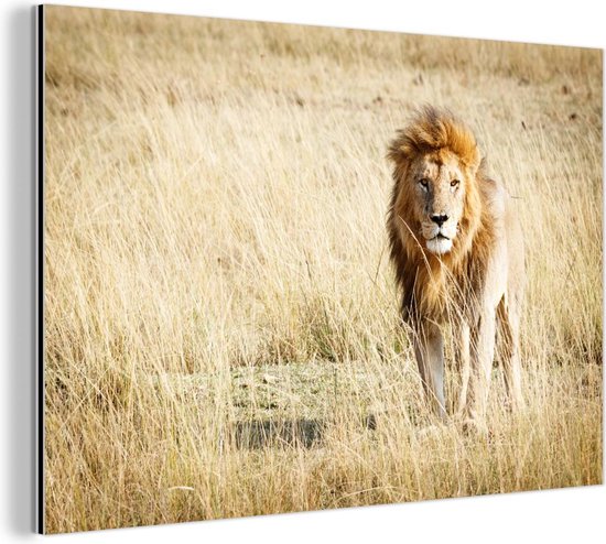 Décoration murale Métal - Aluminium Peinture Industrielle - Lions ...