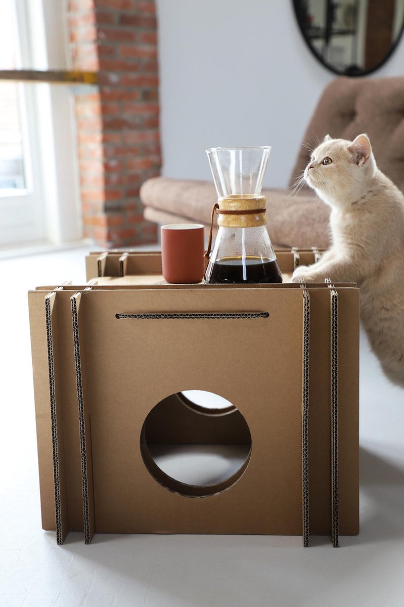 Kartonnen Katten Kubus - Duurzaam Karton - Hobbykarton - KarTent | bol.com