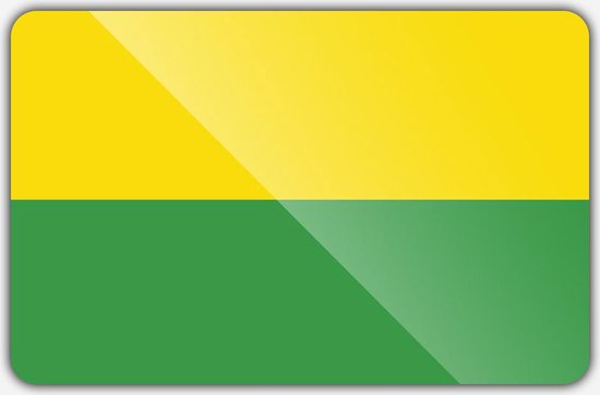 Vlag Den Haag - 100 x 150 cm - Polyester | bol