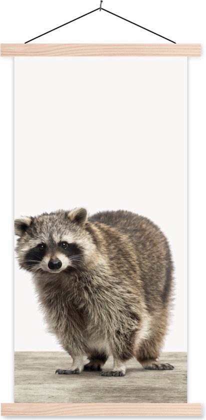 Porte-affiche avec affiche - Affiche scolaire - Raton laveur - Animaux ...