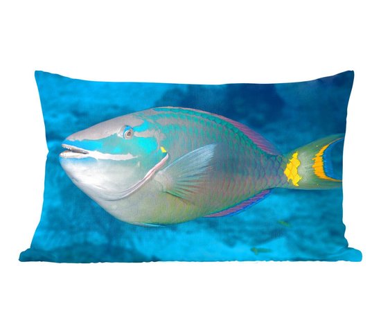 Papegaaivis - Vissen - Zee | bol.com