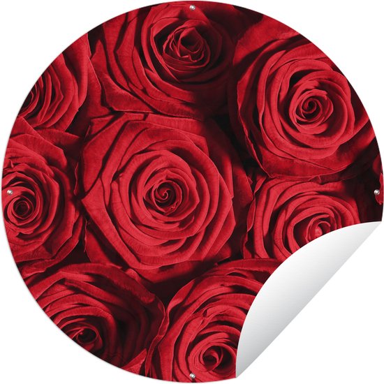 Garden Circle Roses - Rose - Rouge - 150x150 cm - Affiche de Jardin ...